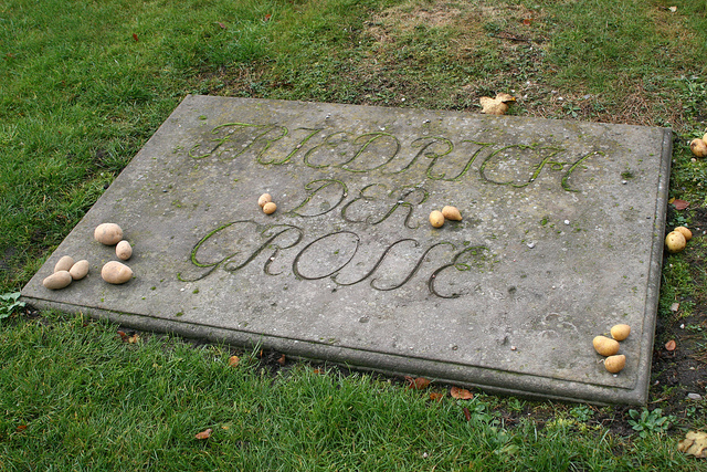 The Fascinating World Of Potatoes - The Wisdom Daily